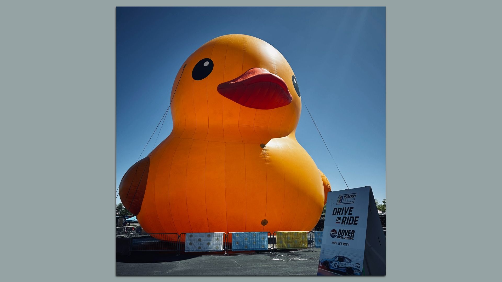 1 photo to go: Return of the Duck - Axios Pittsburgh