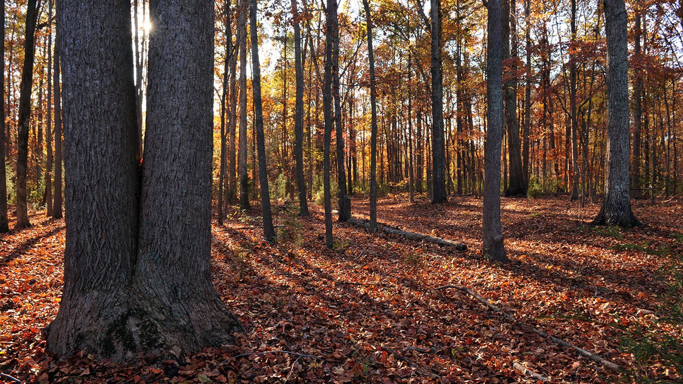 7 trails for fall colors within 50 minutes of Charlotte - Axios Charlotte