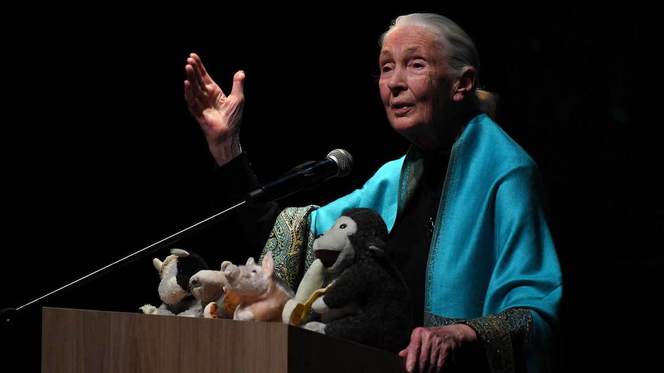 Jane Goodall to hold youth-focused talk in St. Petersburg - Axios Tampa Bay
