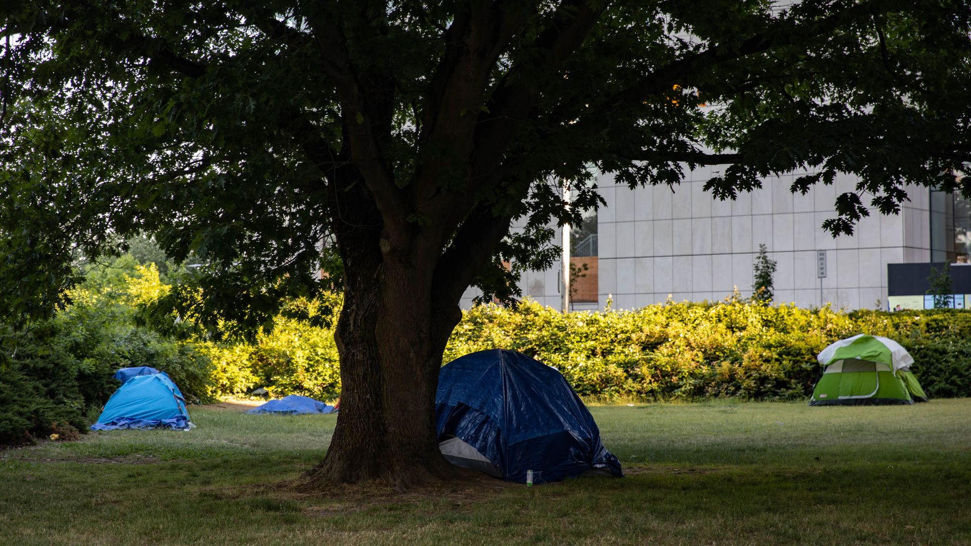 Homelessness in Oregon reaches record highs in 2023 - Axios Portland