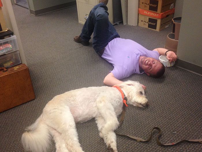 How I Work: Matt Frazier, vice president of Commercial Insurance at ...