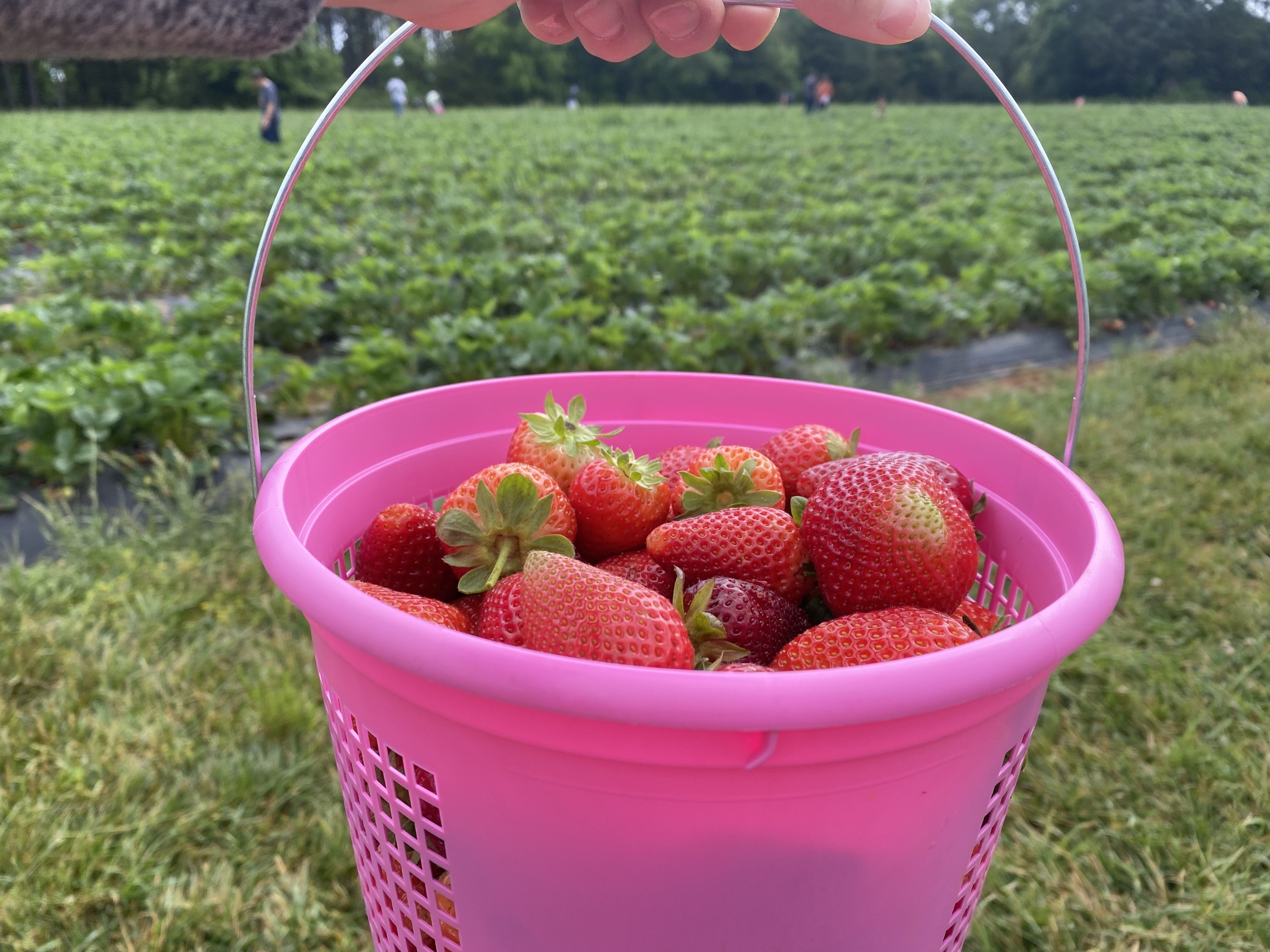 13 kid-friendly things to do in and around the Triangle in North ...