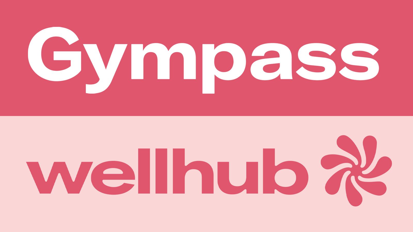 Gympass rebrands as Wellhub amid wellness boom