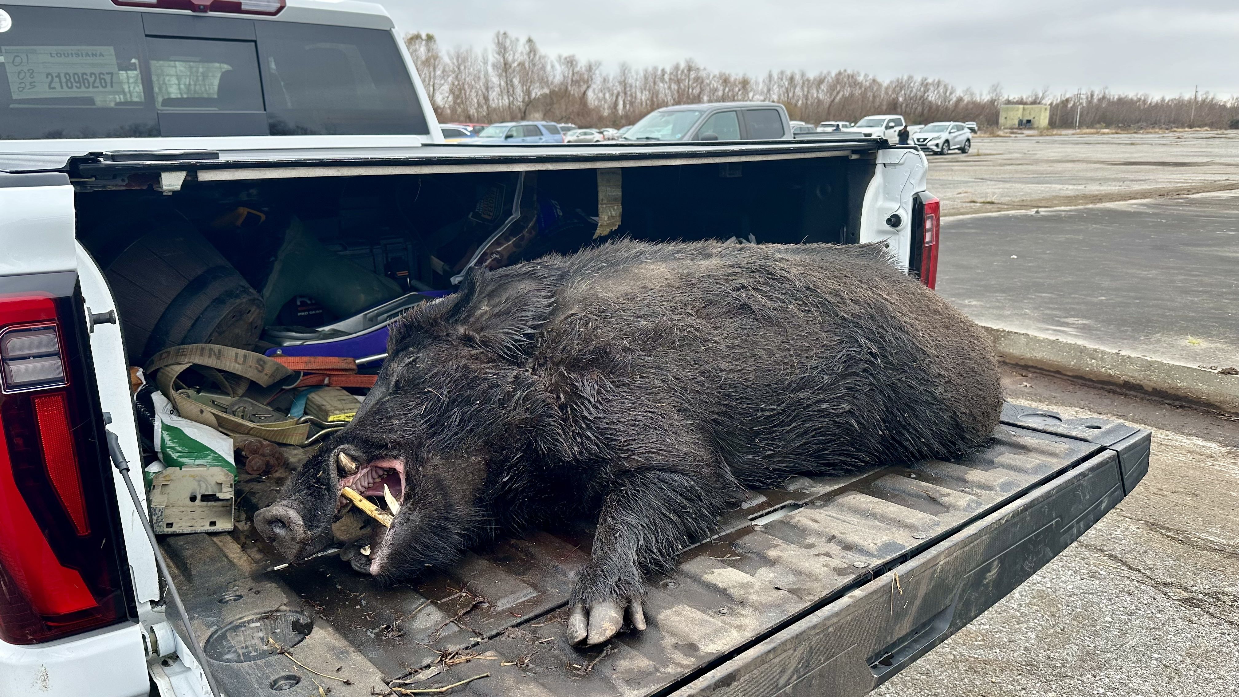 Demolition of old Six Flags is halfway done, developer says - Axios New ...