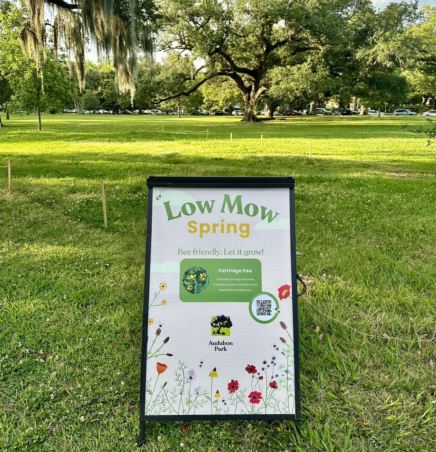 New Orleans parks experiment with "No Mow May" initiative - Axios New ...