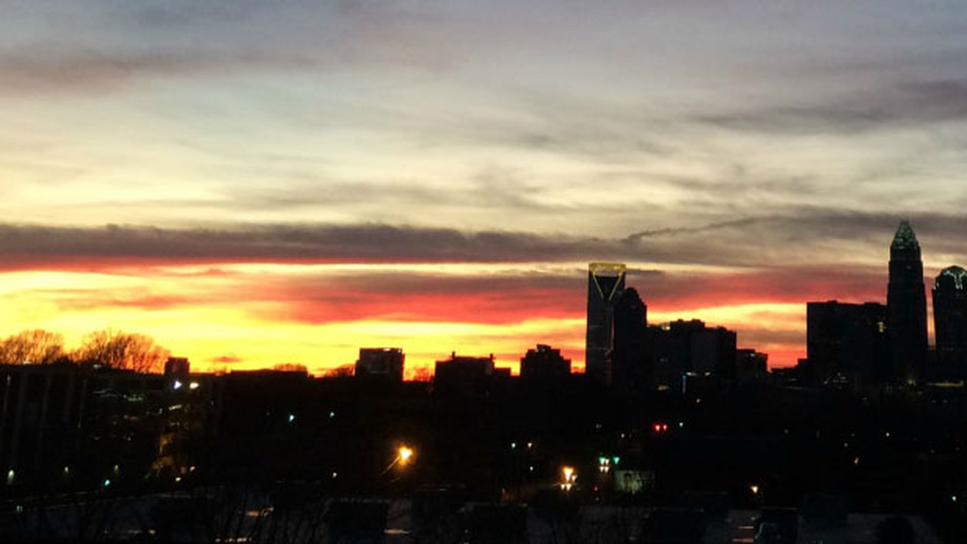 How amazing is this Charlotte tattoo? Honest story - Axios Charlotte