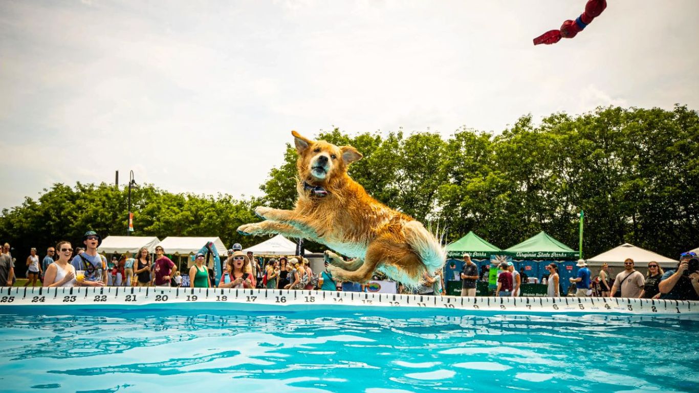 Richmond spring 2024 events: Kings Dominion, Friday Cheers, Flying ...