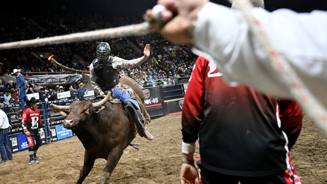 Things to do at the National Western Stock Show in Denver - Axios Denver