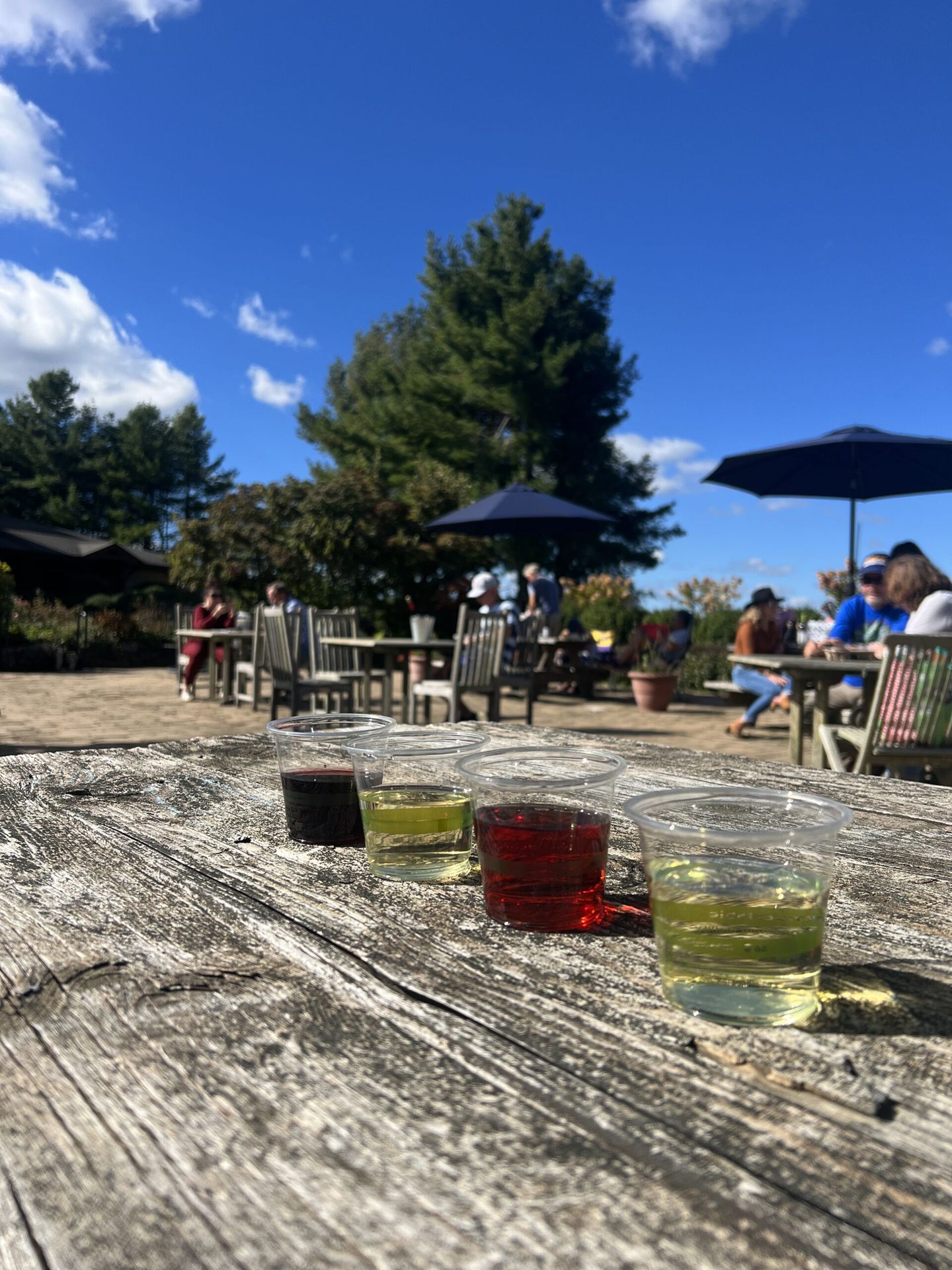 Glamping guide: How to spend 24 hours in the Blue Ridge Mountains for ...