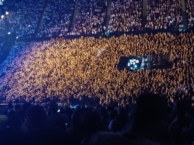 Pitbull fans wear bald caps at his concerts. The Miami rapper loves the ...