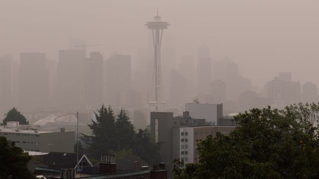 Now's the time to prep for summer weather extremes in Seattle - Axios ...
