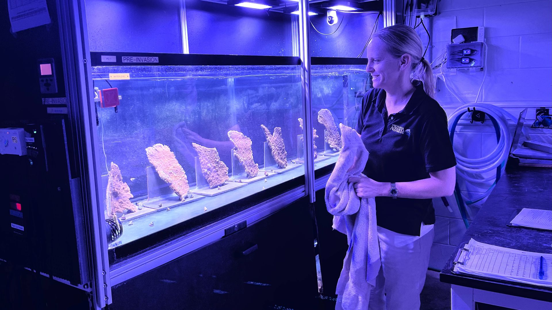 Florida's coral crisis gets new hope from corals from Honduras - Axios ...