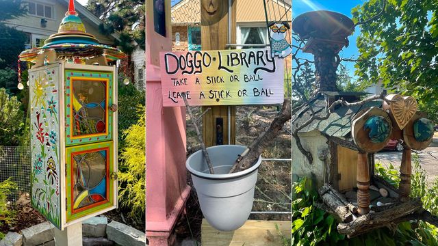 10 of Minneapolis' most unique Little Free Libraries - Axios Twin Cities