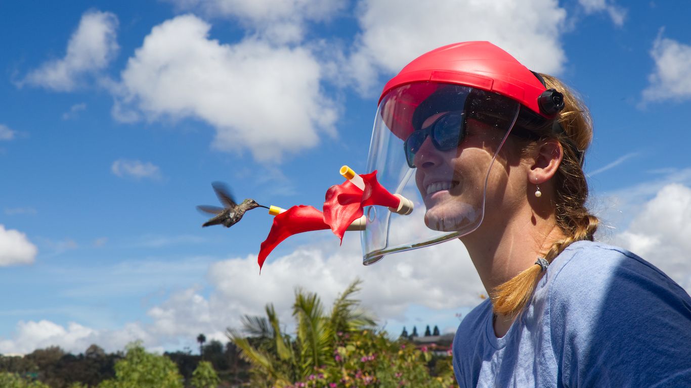 Colorado company scores "Shark Tank" deal for hummingbird feeders ...