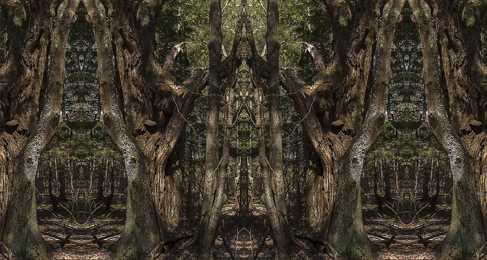 Visions of nature - Axios Detroit