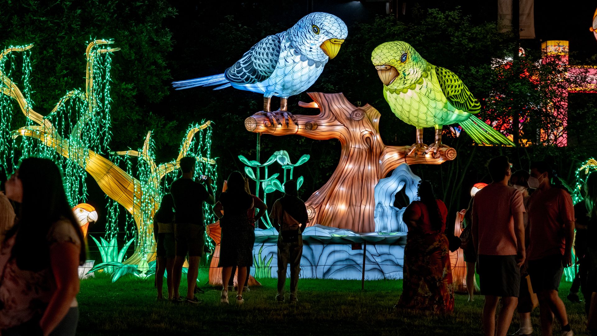 Weekender: 30 things to do in Charlotte this weekend including concerts ...