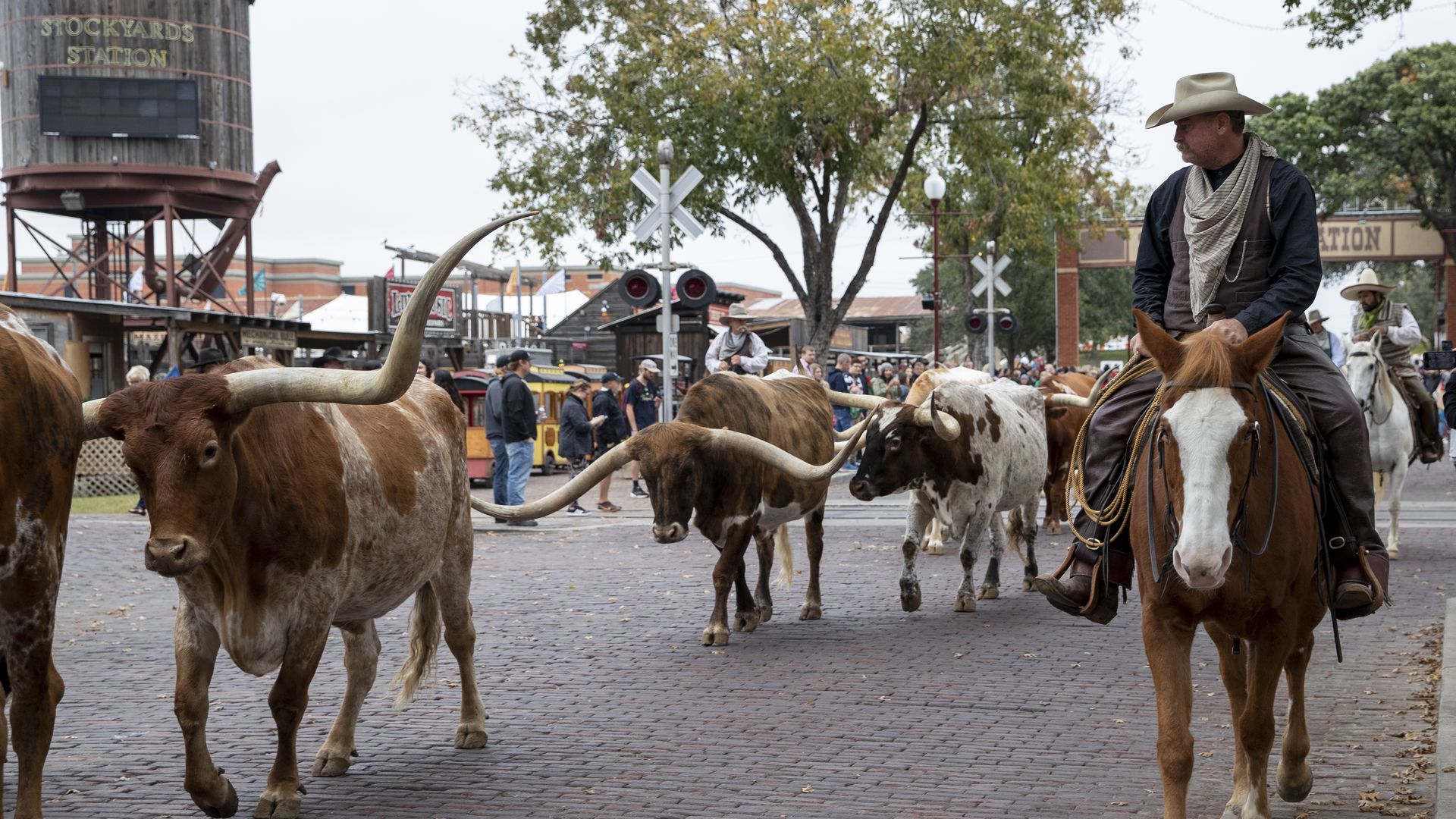 What to know about Fort Worth Stock Show & Rodeo - Axios Dallas