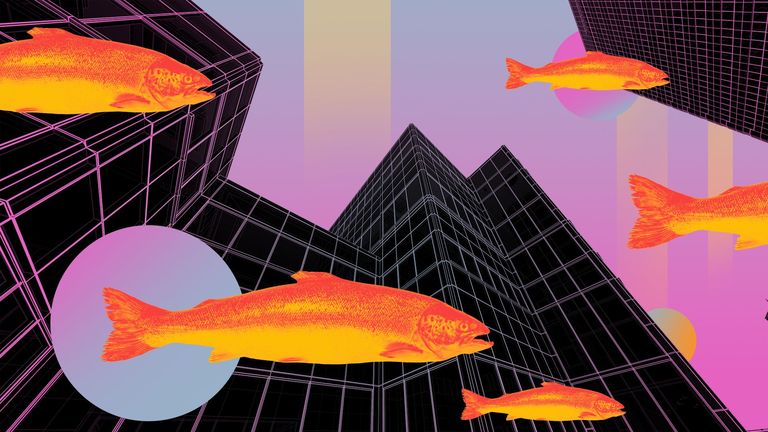 Boston's future of food: Lab-grown products like salmon filets