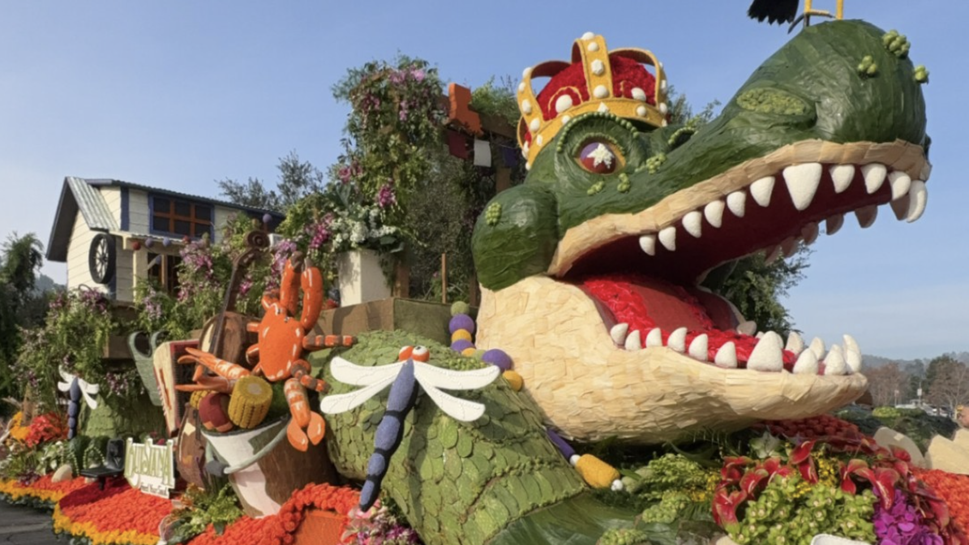 Fully Dressed: Award-winning gator - Axios New Orleans