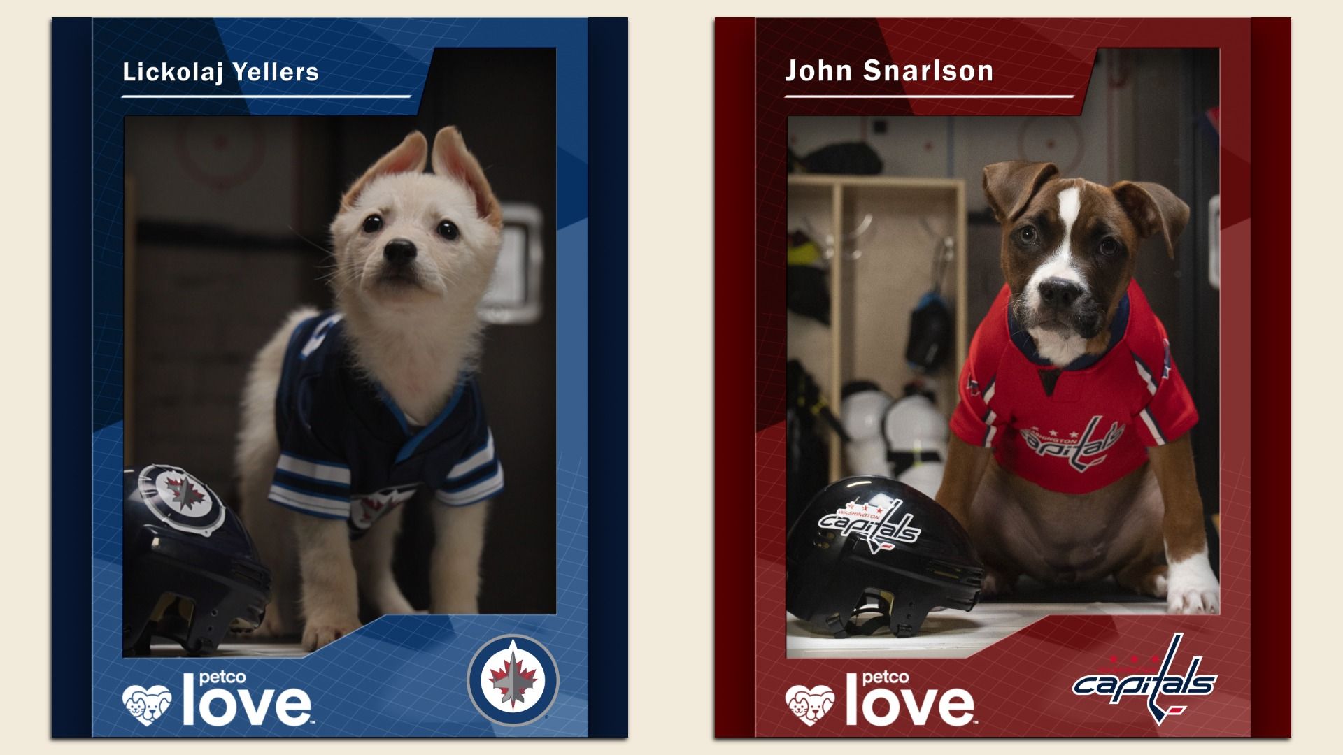 Dozens of cute puppies to face off in the NHL's "Stanley Pup"