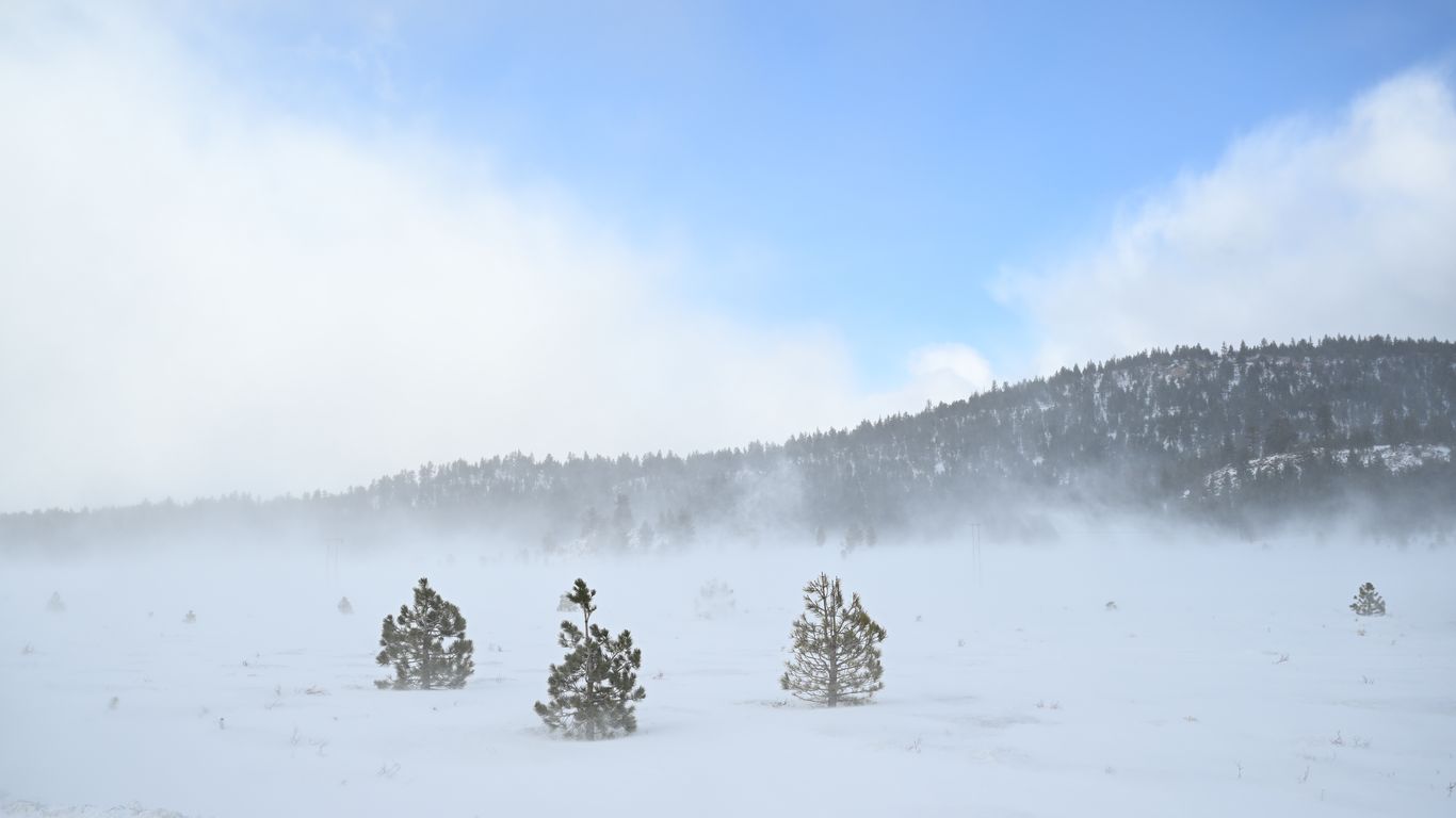 Warm winter days surge across Europe, North America and Asia