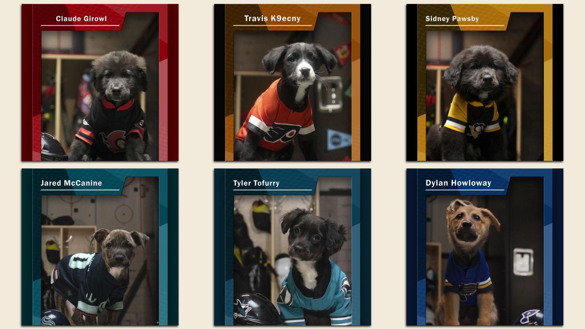 Dozens of cute puppies to face off in the NHL's "Stanley Pup"