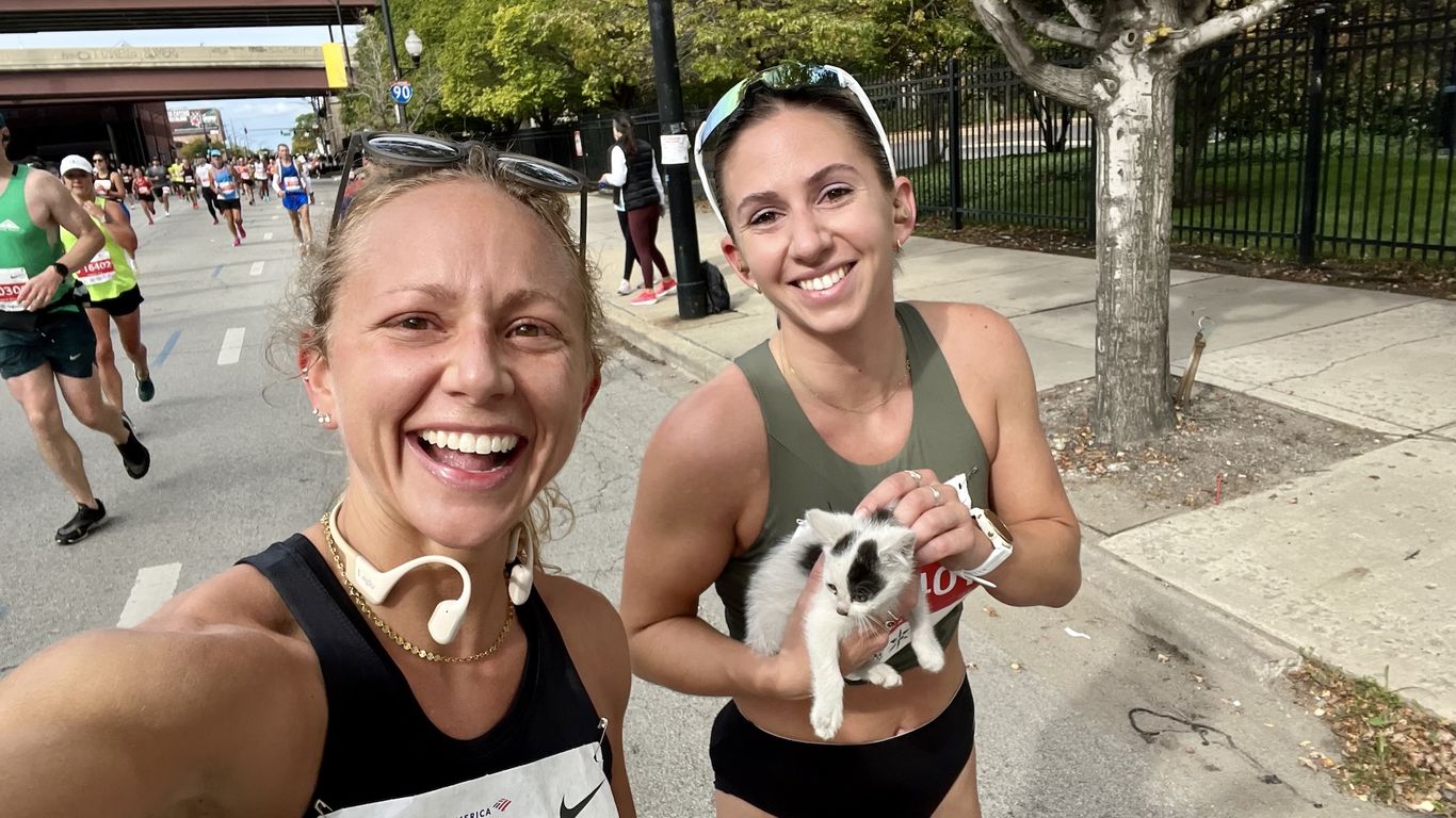 Chicago Marathon runner rescues stray kitten during race - Axios Chicago