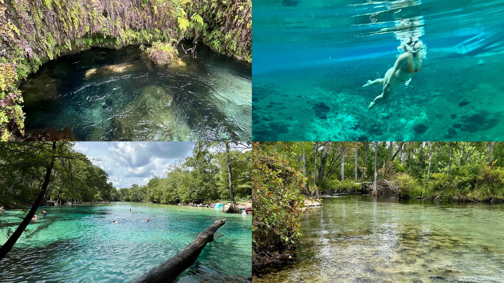 Water Springs In Florida