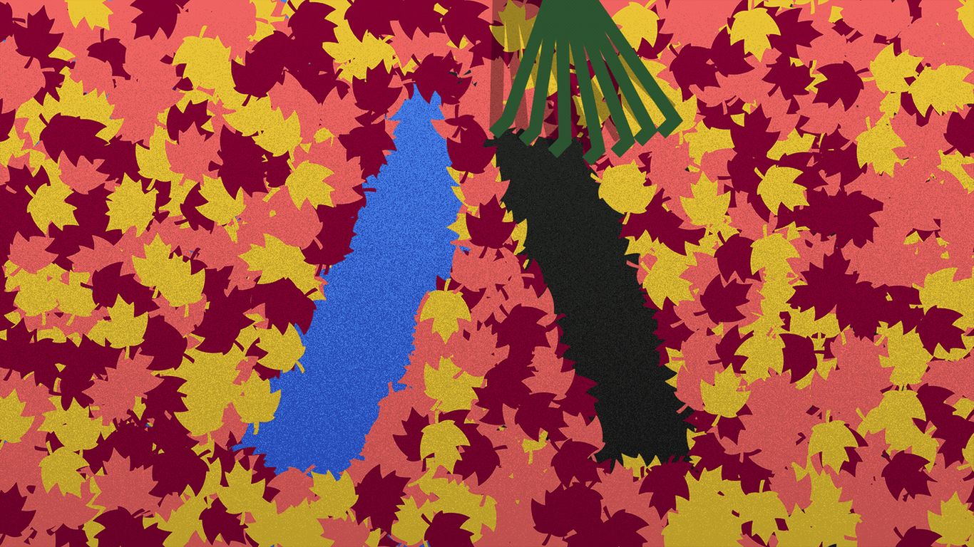 What to do with your leaves - Axios Columbus