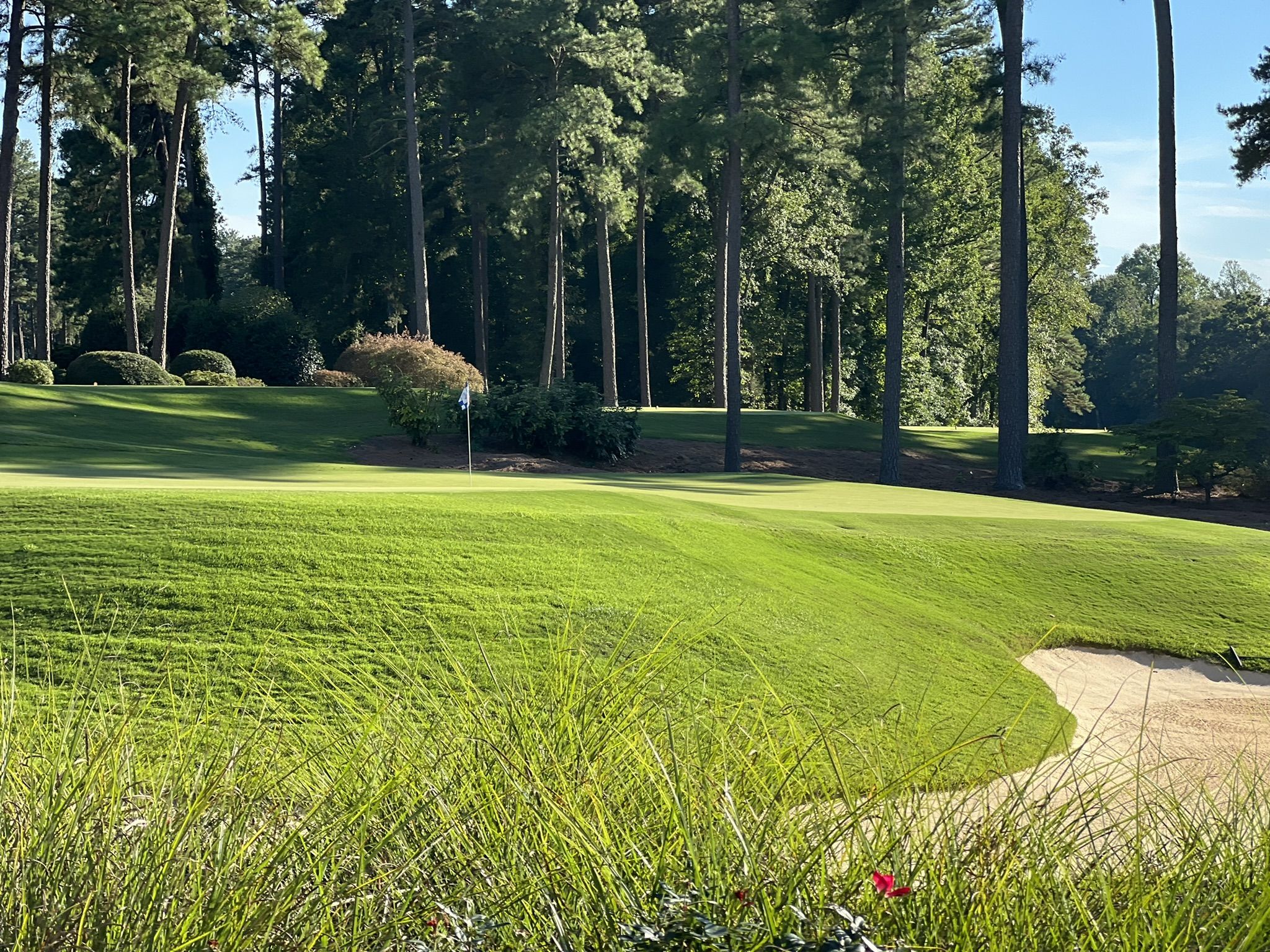 10 best public golf courses in the Triangle, ranked - Axios Raleigh