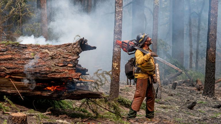 The cost of fighting wildfires in Oregon - Axios Portland