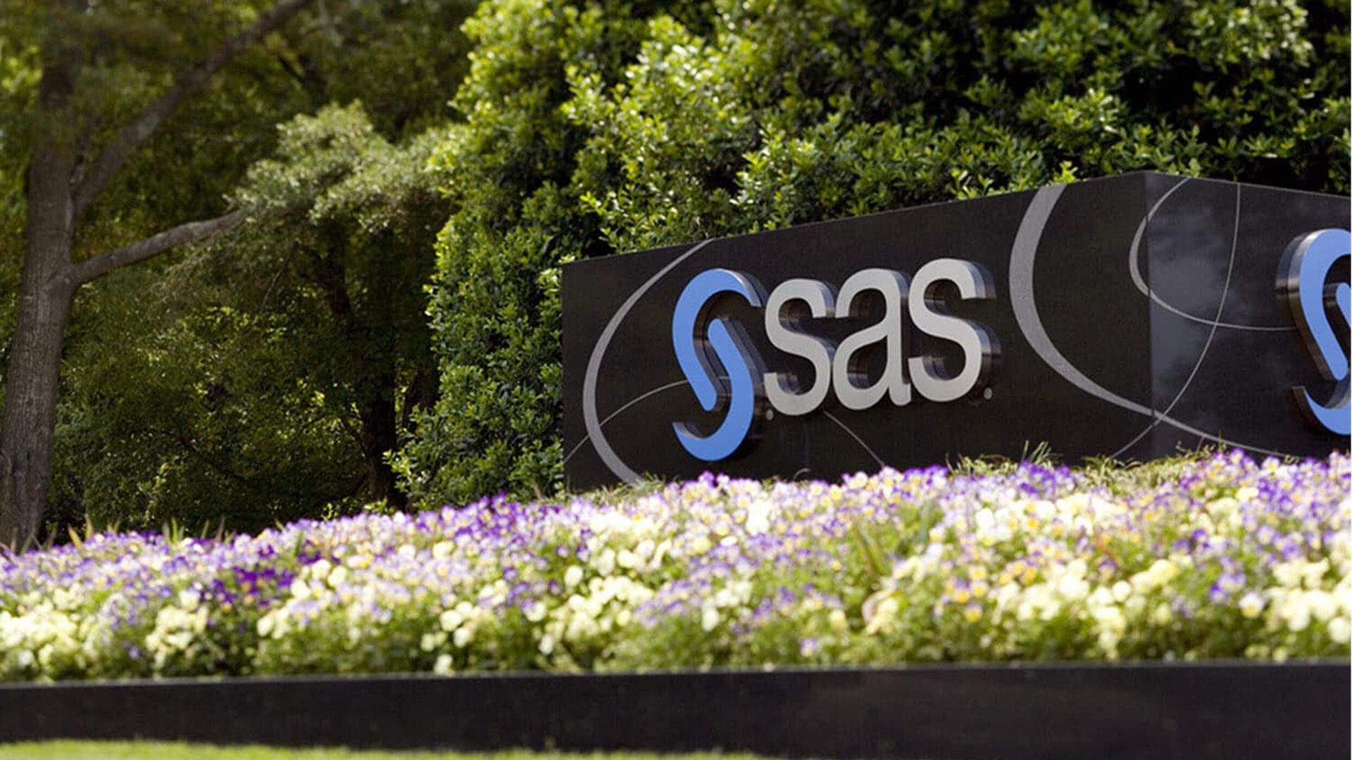 SAS names new chief operating officer in charge of IPO readiness ...