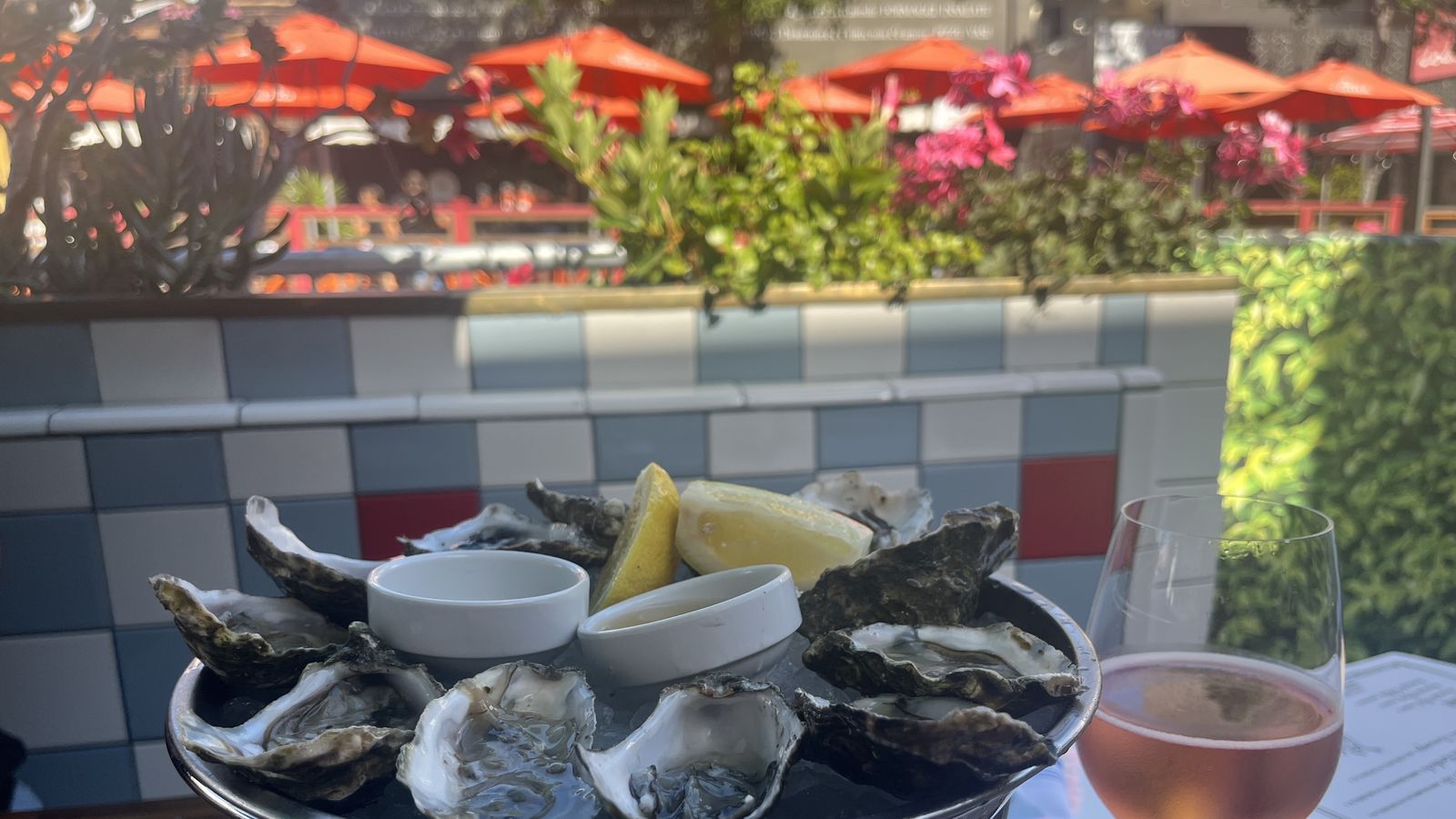 Where to get delicious happy hour oysters in San Diego - Axios San Diego
