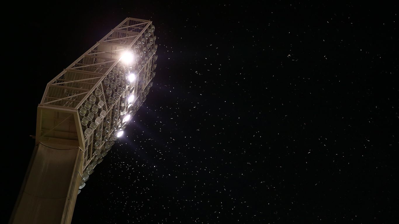 Miller moth season arrives in Colorado - Axios Denver