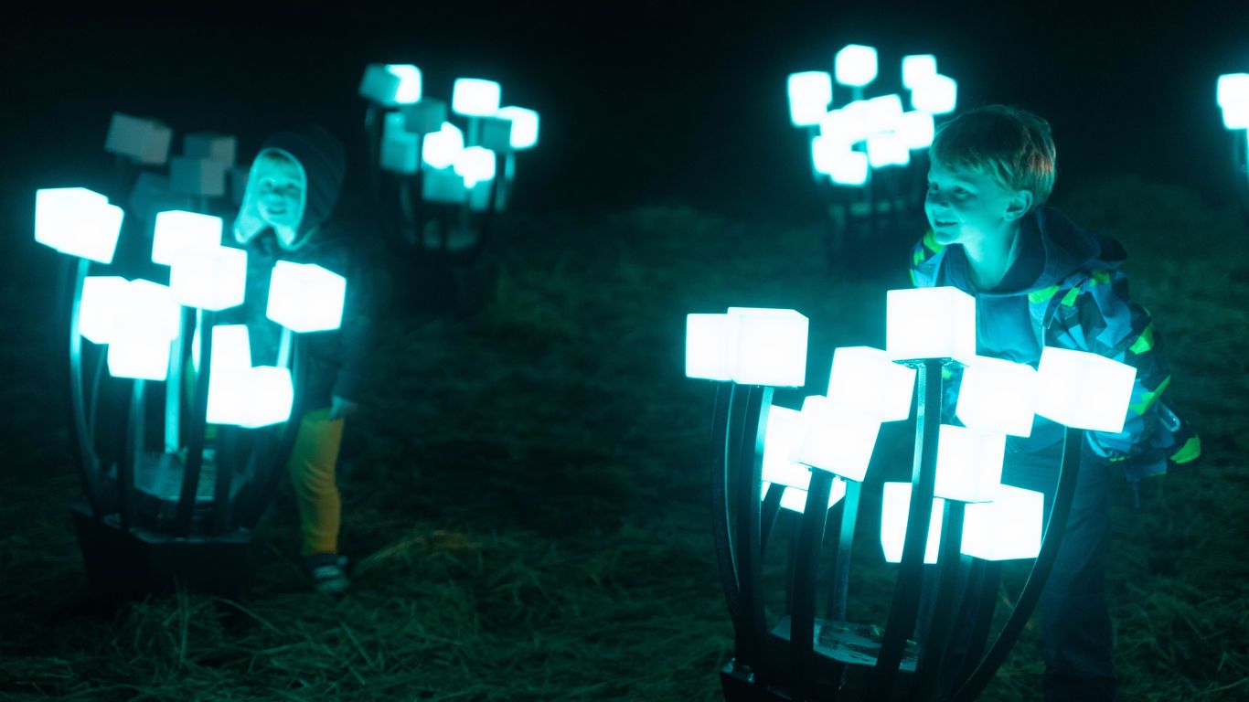 Golden Gate Park's winter light installation returns - Axios San Francisco
