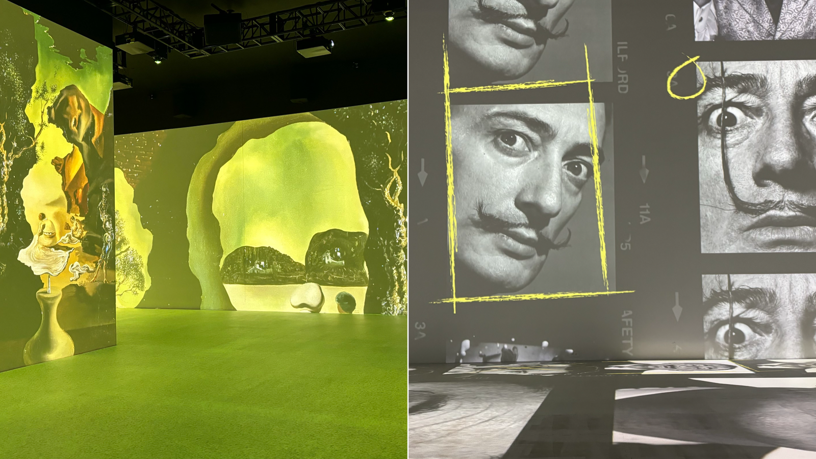 Newfields' Salvador Dalí experience is the most surreal LUME yet ...