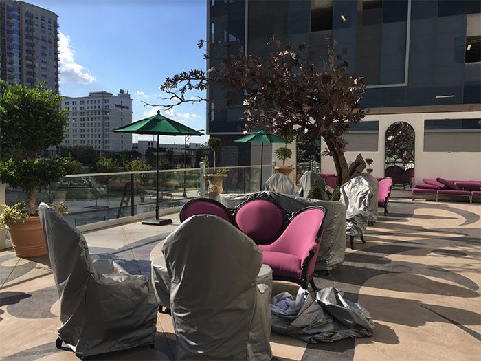 Go inside Ink N Ivy: 19 photos of Uptown’s new bar & how to get in ...