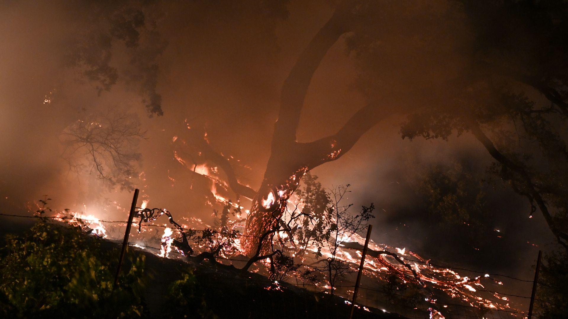 Sonoma County wildfire marks start of Bay Area fire season - Axios San ...