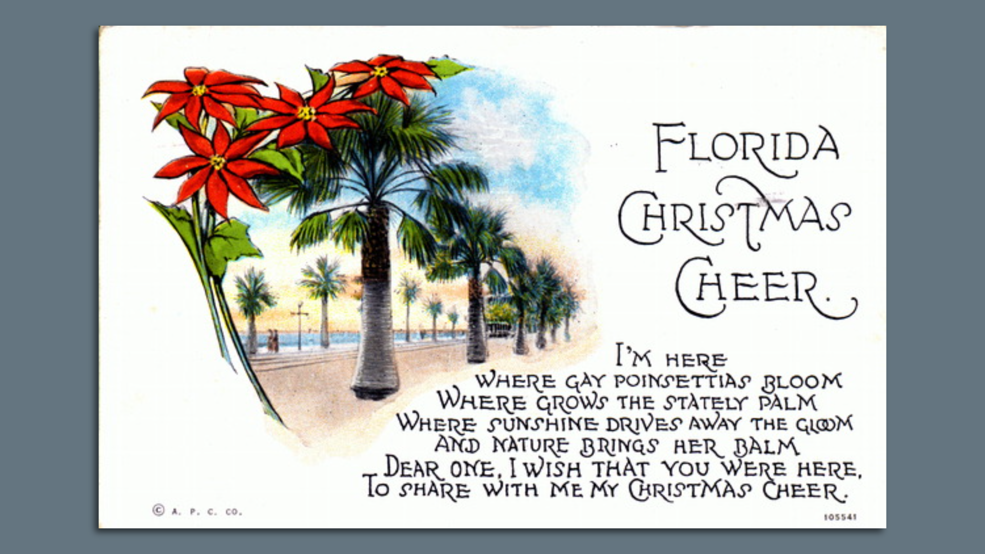 Historic photos showcase Florida's sunny Christmases past - Axios Tampa Bay