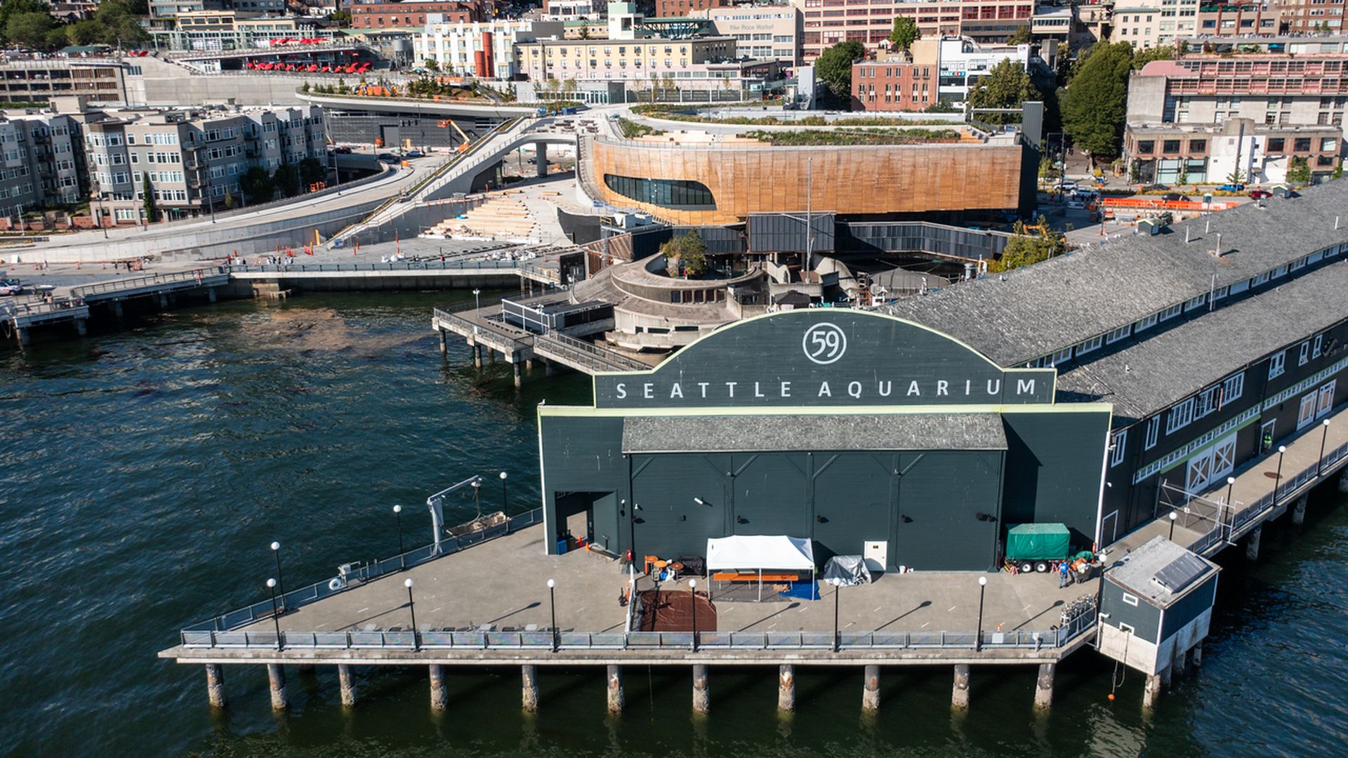 Seattle Aquarium's Ocean Pavilion expansion opens Aug. 29 - Axios Seattle
