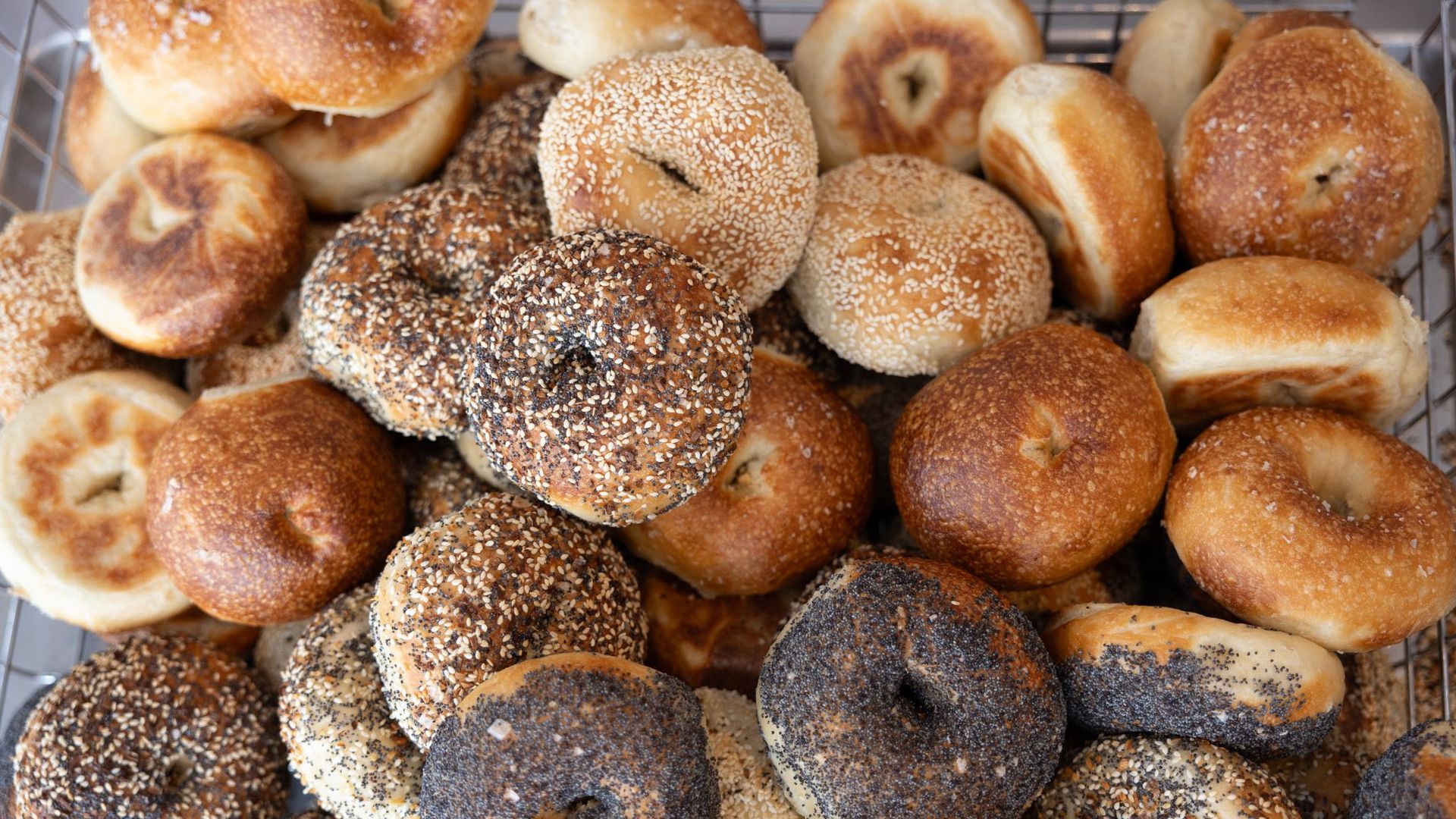 New York-style bagels are on the rise in San Diego - Axios San Diego