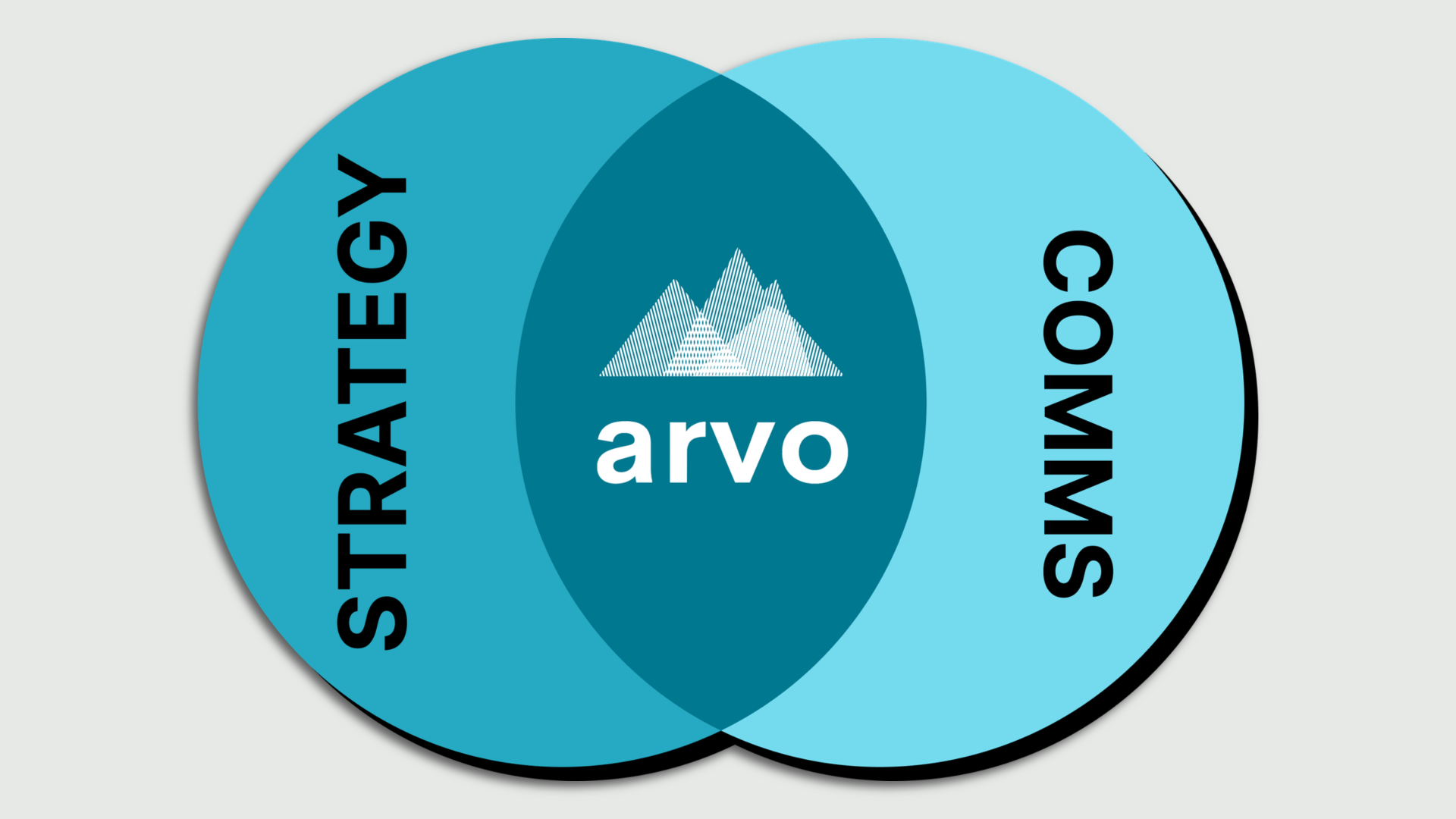 Industry vets launch strategic communications firm, Arvo Advisory