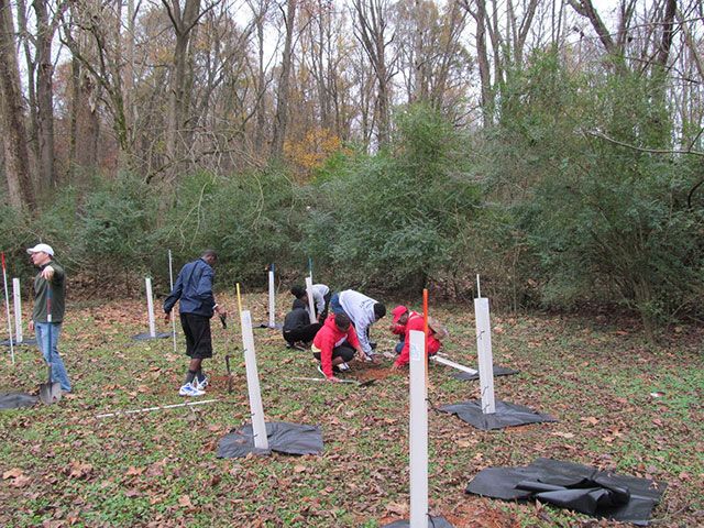 12 reasons why Charlotte is a great tree city - Axios Charlotte