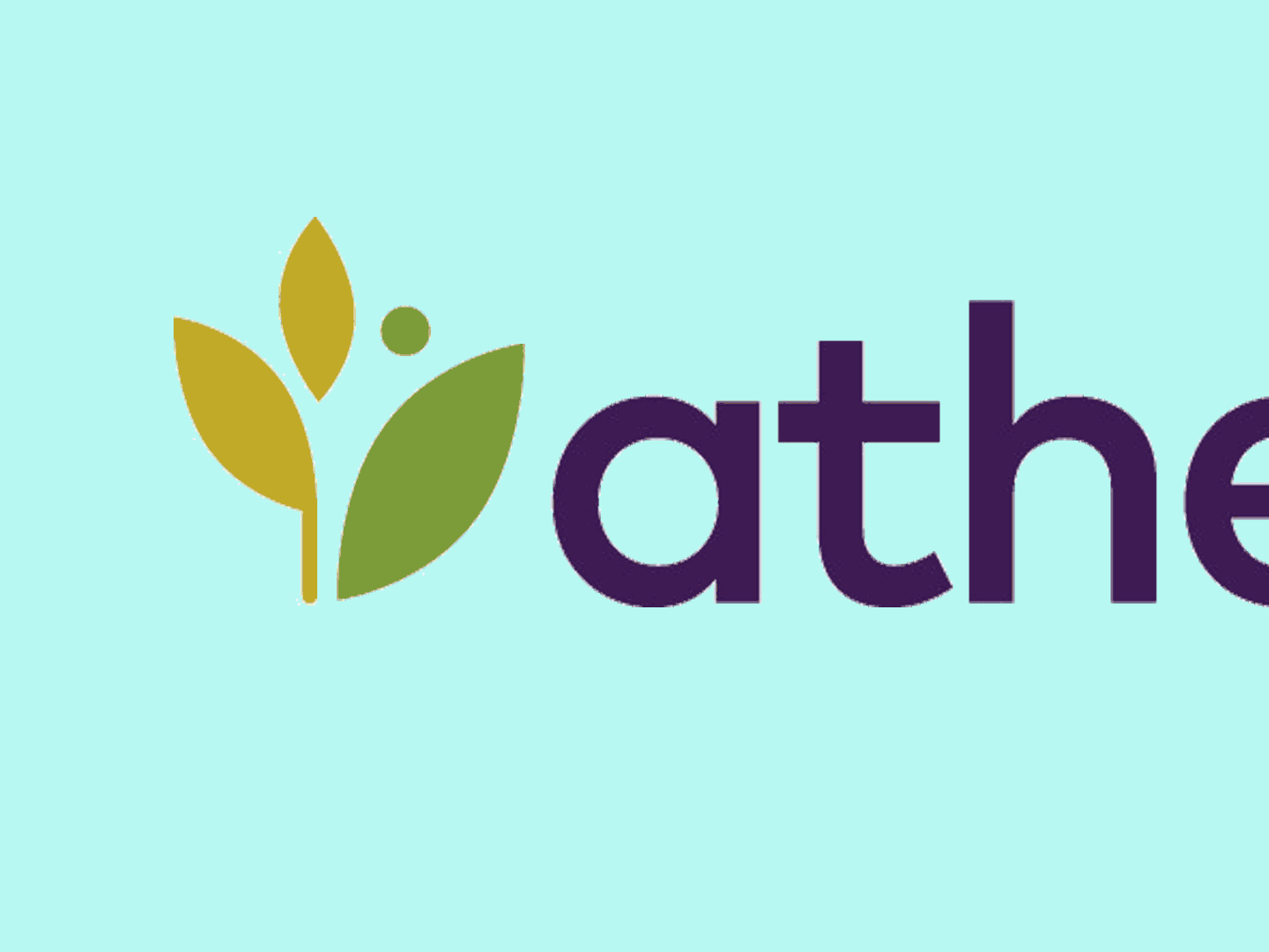 Athenanet Login Provider Chronic Care Management | developerportal