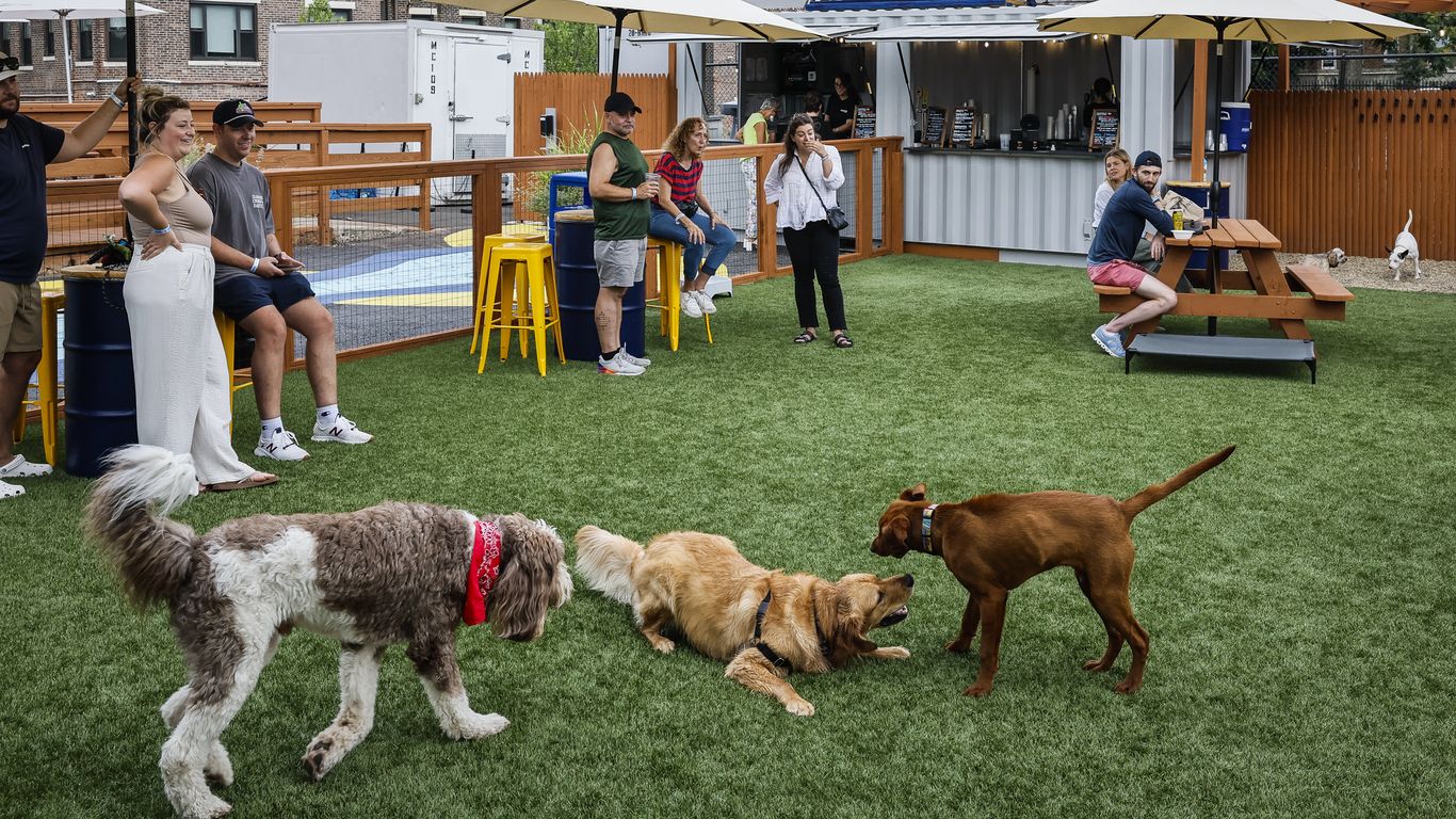 Everett's Park-9 dog bar adds doggie daycare - Axios Boston