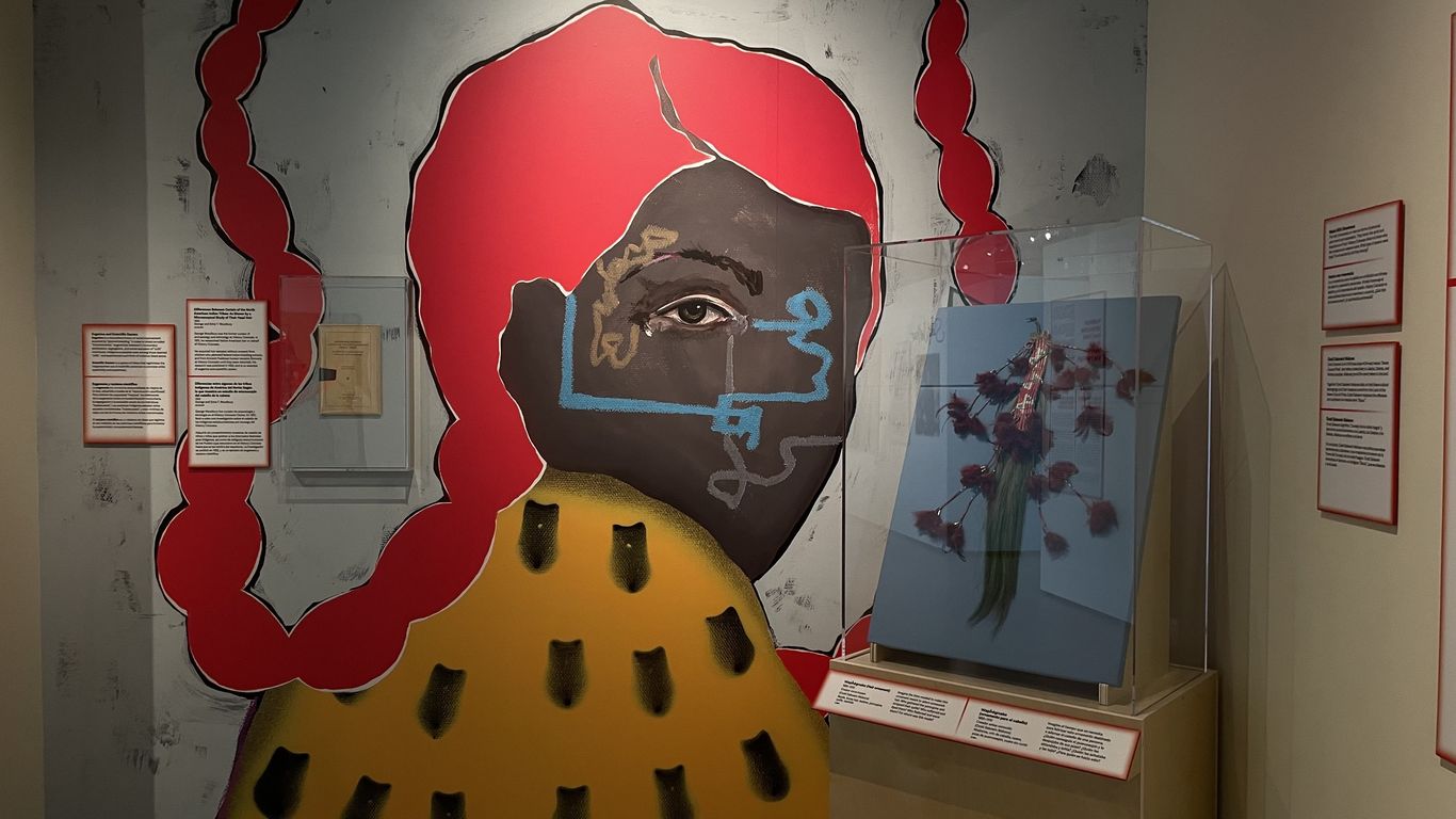 Danielle SeeWalker's new exhibition seeks to challenge Native art ...