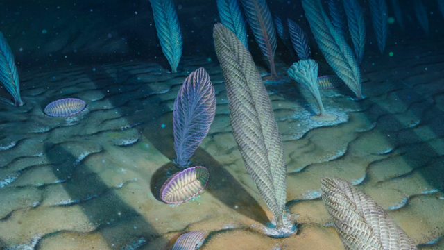 Deep ocean evolution study warns against dangers of global warming