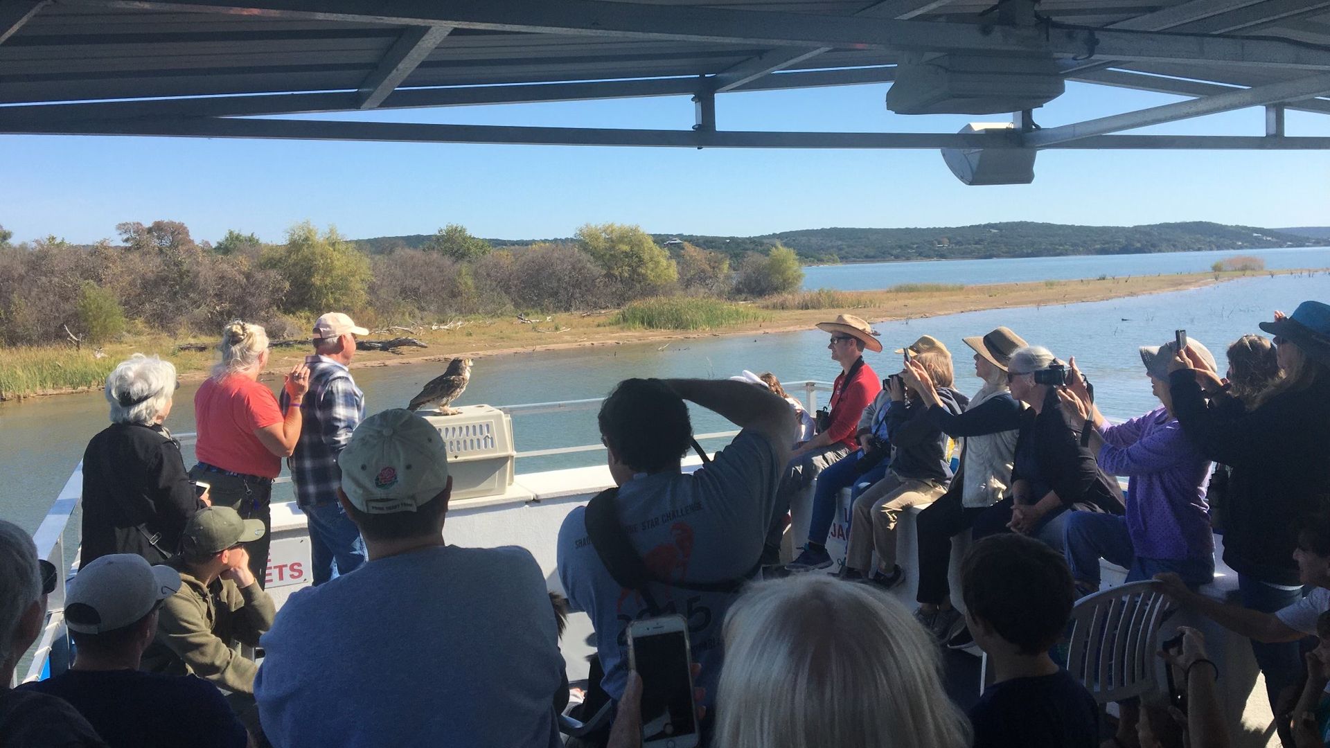 Rehabilitated birds of prey released on Lake Buchanan - Axios Austin