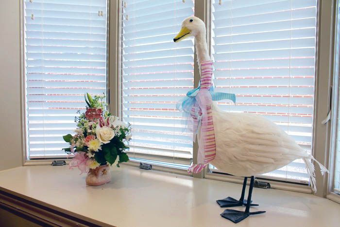 19 photos that will make you want to have your baby at Atrium Health ...