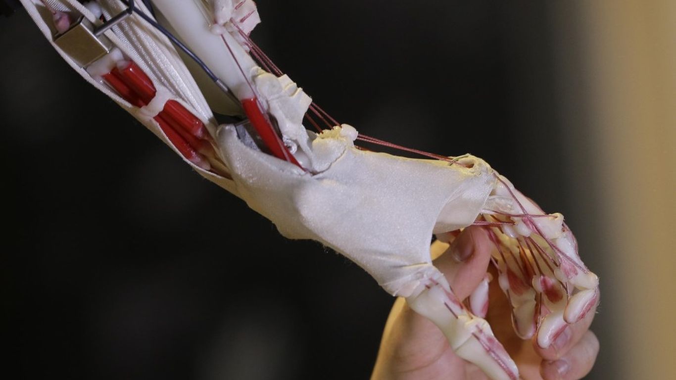 Why it's dangerous to fear the robot revolution